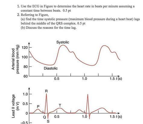 Generating Ecg Waveform Sensors Arduino Forum