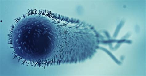 The Global March Of Antibiotic Resistant Bugs The Irish Times