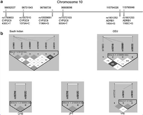 Locations And Linkage Disequilibrium Ld Patterns Of The Six Markers