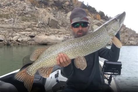 Fish And Fungi Visit Durango Co Official Tourism Site