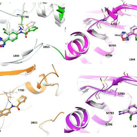 Initial Docked Poses Of Reference Grey Colour For Each Egfr Ligand