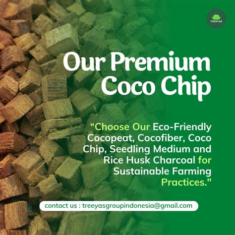 Coco Chip Coconut Trade Commodities