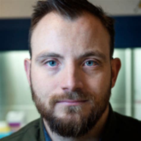 Anders Nygaard Researcher Doctor Of Philosophy Oslo University Hospital Oslo Department