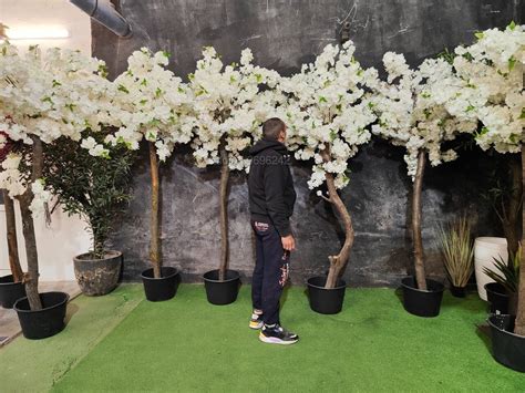 Изкуствени дървета Цветя декоративни растения Велико Търново 👉ПОРЪЧАЙ СЕГА Изклю