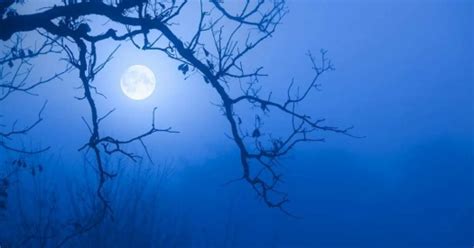 Solve Full Moon Sneaking Away On A Foggy Bottom Morning Jigsaw Puzzle