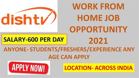 Freshers Opening I Work From Home Jobs For Students Everyone DISHTV