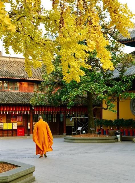 深秋时节看上海最大古刹龙华寺