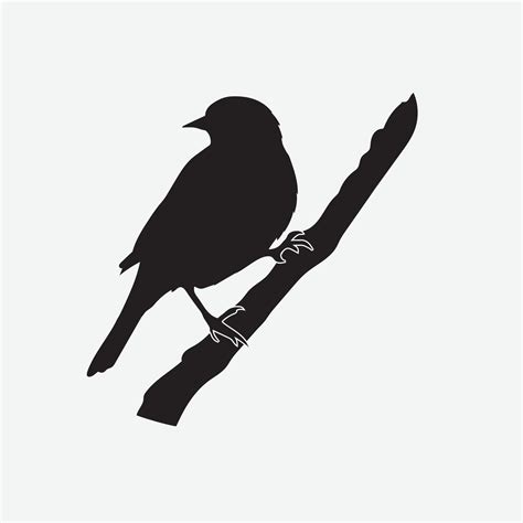 Bird Vector Png 29749822 Vector Art At Vecteezy Bird Vector Png 29749822 Vector Art At Vecteezy