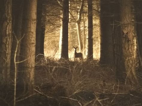 경동맥협착증치료법 네이버 블로그