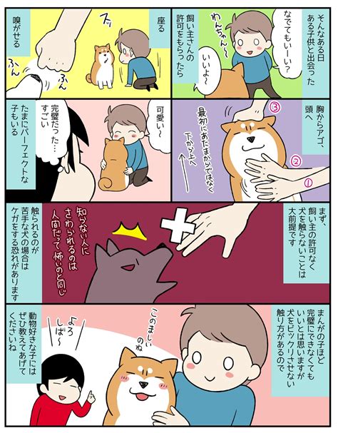 よそ犬の正しいさわり方～柴犬どんぐり アイリスプラザ メディア
