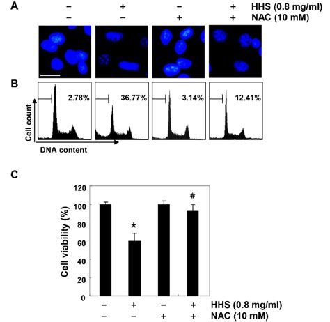 Ros Dependent Apoptosis Induction By Hhs Treatment In Hct116 Cells A
