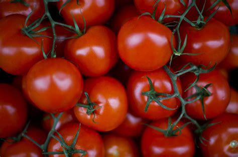 フリー画像食べ物野菜トマトミニトマト赤色レッドフリー素材画像素材なら！無料・フリー写真素材のフリーフォト