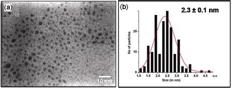 A Bright Field Tem Micrograph Showing Au Nanoparticles Embedded In Ps
