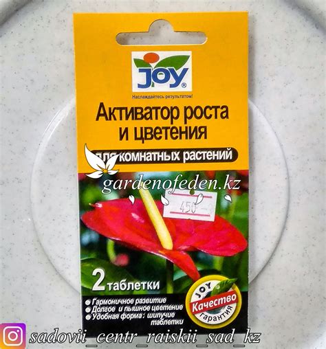 Активатор роста и цветения для комнатных растений JOY, 2 таблетки ...