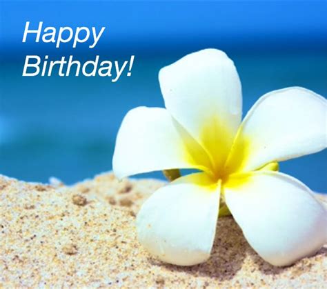 Free Hawaiian Happy Birthday Images Discover New Arrivals And Latest