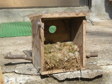 春です 森のてつびん屋