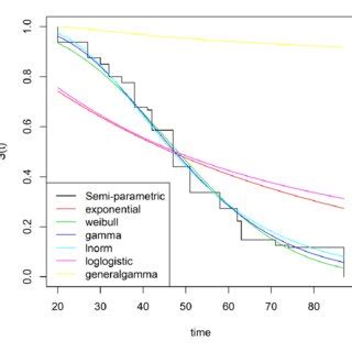 Parametric Hazard Functions Download Scientific Diagram