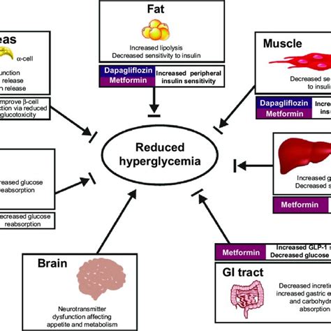 Nitiation And Optimization Of Insulin Therapy In Hyperglycemia During