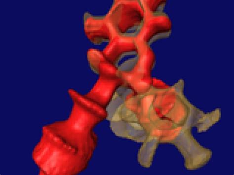 Modeling And Optimization Of Functional Molecules Zib De