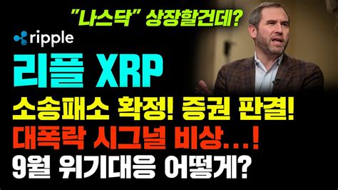 리플 Xrp 긴급 소송 100 패소확정 증권으로 판결날겁니다 대폭락 시그널 비상 9월 위기대응 코인시황
