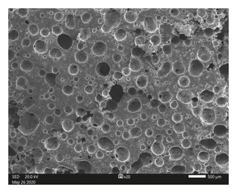 Sem Micrograph Of The Foam Structure Of Specimen B5 45 Ep