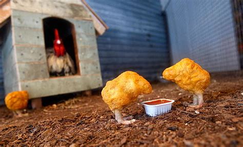 Mcdonalds Chicken Nuggets Pink Slime