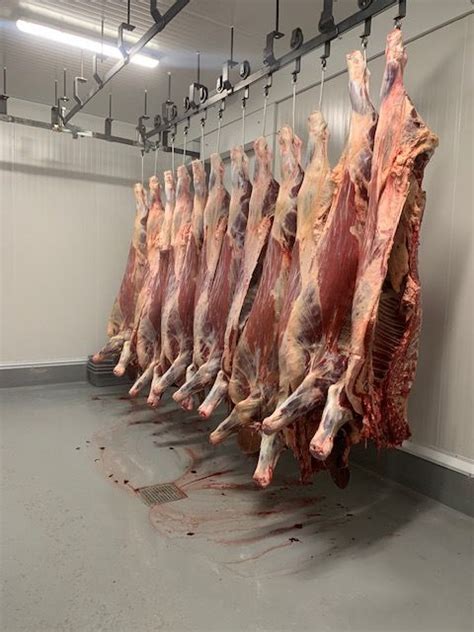 Top Quality Meat Processing Rail Systems In Us
