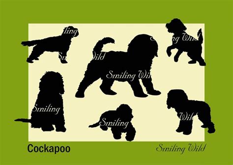 Cockapoo Silhouette Svg Printable T Png Clipart Cockapoo Instant