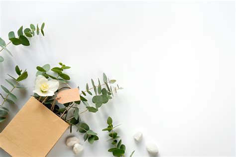 겨울 유칼립투스와 흰색 헬레보루스 꽃을 곁들인 크래프트 백 갈색 종이 태그 복사 공간 상록 나뭇 가지와 겨울 장미 겨울 플랫