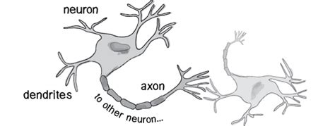 机器学习算法篇—神经网络（neural network） － 小专栏