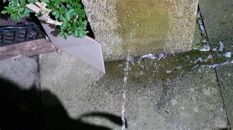 Having A Final Nightime Piss In The Garden Before Bed Gay Amateur