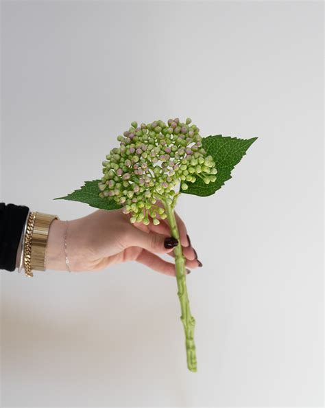 Hydrangea Bud Collection Shoppe At The Avenue