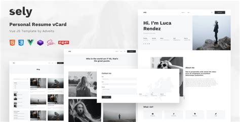 Sely Personal Resume VCard Vue JS Template By Adveits ThemeForest