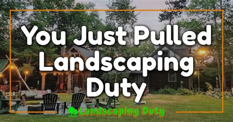 Best Grass Types For Lawns In North Carolina A Guide To Choosing The