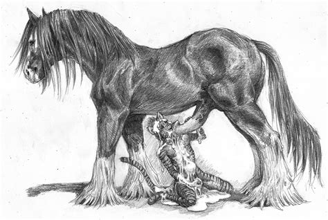 Rule 34 2021 A Inc Anatomically Correct Anatomically Correct
