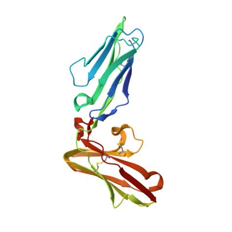 Gene Q8nhj6 Protein Lilrb4 Overview Cansar Ai