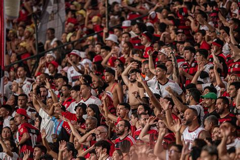Pesquisa Aponta As Maiores Torcidas Do Brasil E Flamengo Aparece☣ Venha
