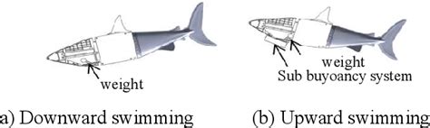 Figure 1 From Design And Control Of A Biomimetic Fish Robot Semantic