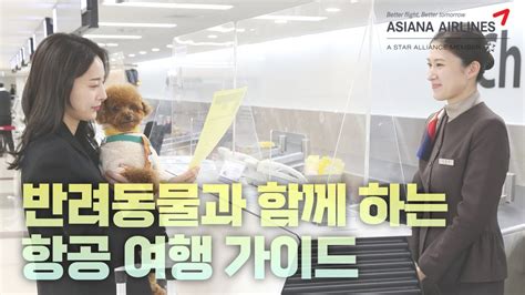 아시아나항공 반려동물 동반 탑승 영상 가이드 Youtube