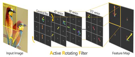 Rotation Invariance And Equivariance Home