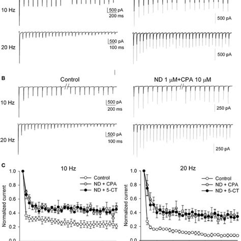 The Short Term Synaptic Plasticity In Response To Trains Of Stimuli Is