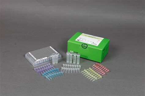 Accupower® Hbv Quantitative Pcr Kit Africa Medical Supplies Platforms