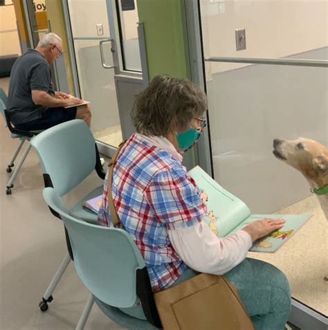 Brooks Rehabilitation Aphasia Center Brac Members Help Rescue Animals
