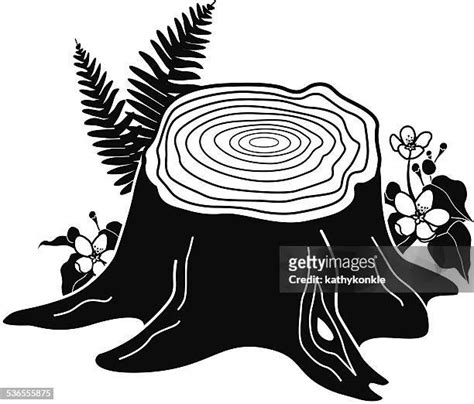 82 Souche Darbre High Res Illustrations Getty Images