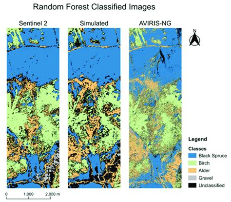 Tree Species Classification Map Generated Using The Random Forest