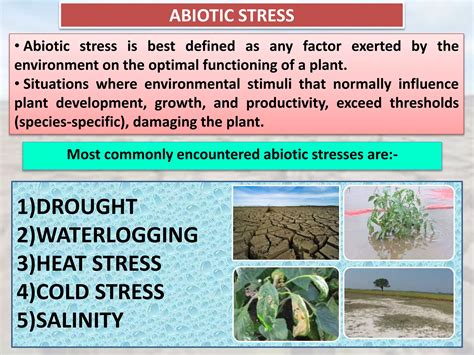 Breeding For Abiotic Stress Resistance In Vegetable Crops Pptx