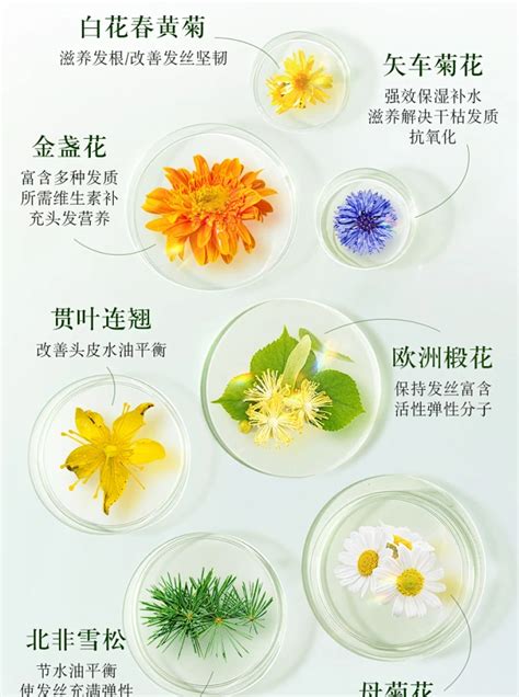 无硅油洗发水控油蓬松去屑止痒正品官方品牌除螨洗头露膏男女套装 天猫 花瓣网