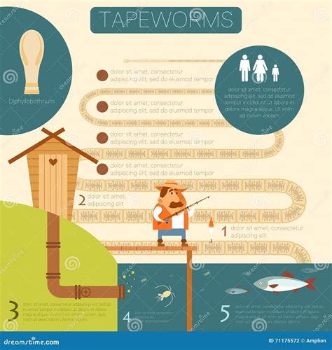 Tapeworm Egg Infographics Vector Illustration On Isolated Background