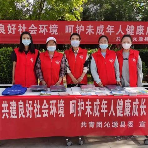 团县委开展共建良好社会环境 呵护未成年人健康成长主题宣传活动 保护 工作 关爱