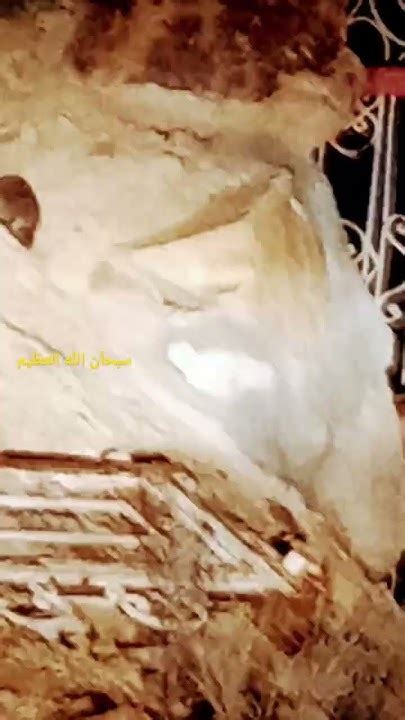 تميم المجد Youtube